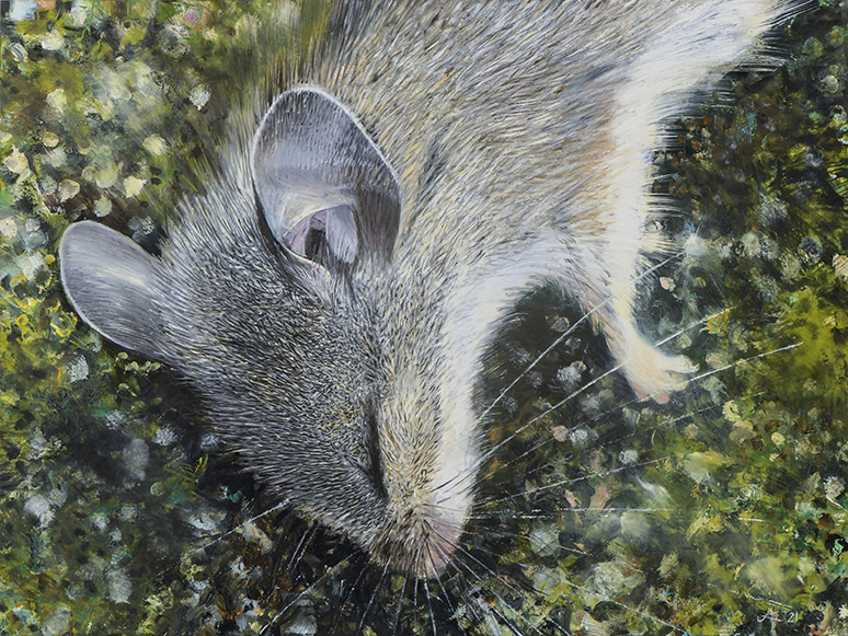 Jon R. Friedman | Search